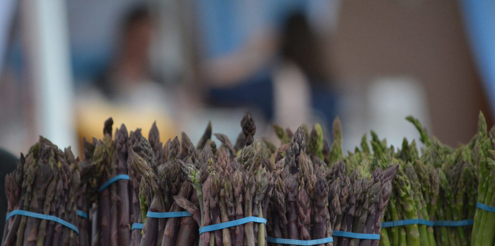 Camas Farmer's Market Kicks Off 2017 Season - Lacamas Magazine