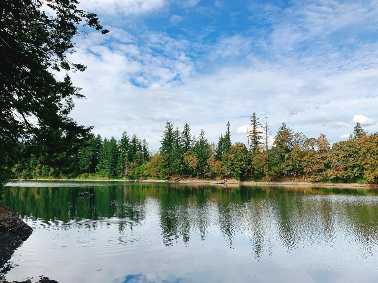 Clark County Public Health Issues New Lacamas Lake Cyanotoxin Warning ...