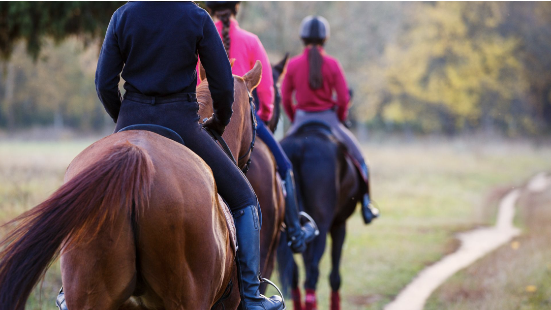 Why Horseback Riding is the Perfect Hobby - Lacamas Magazine