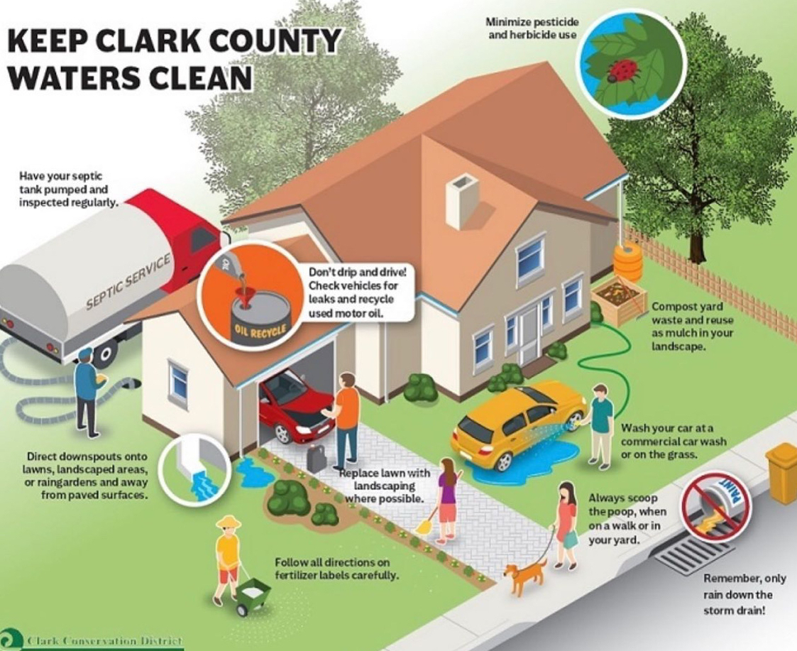 Storm Water Partners: Ways to Keep Our Waters Clean - Lacamas Magazine