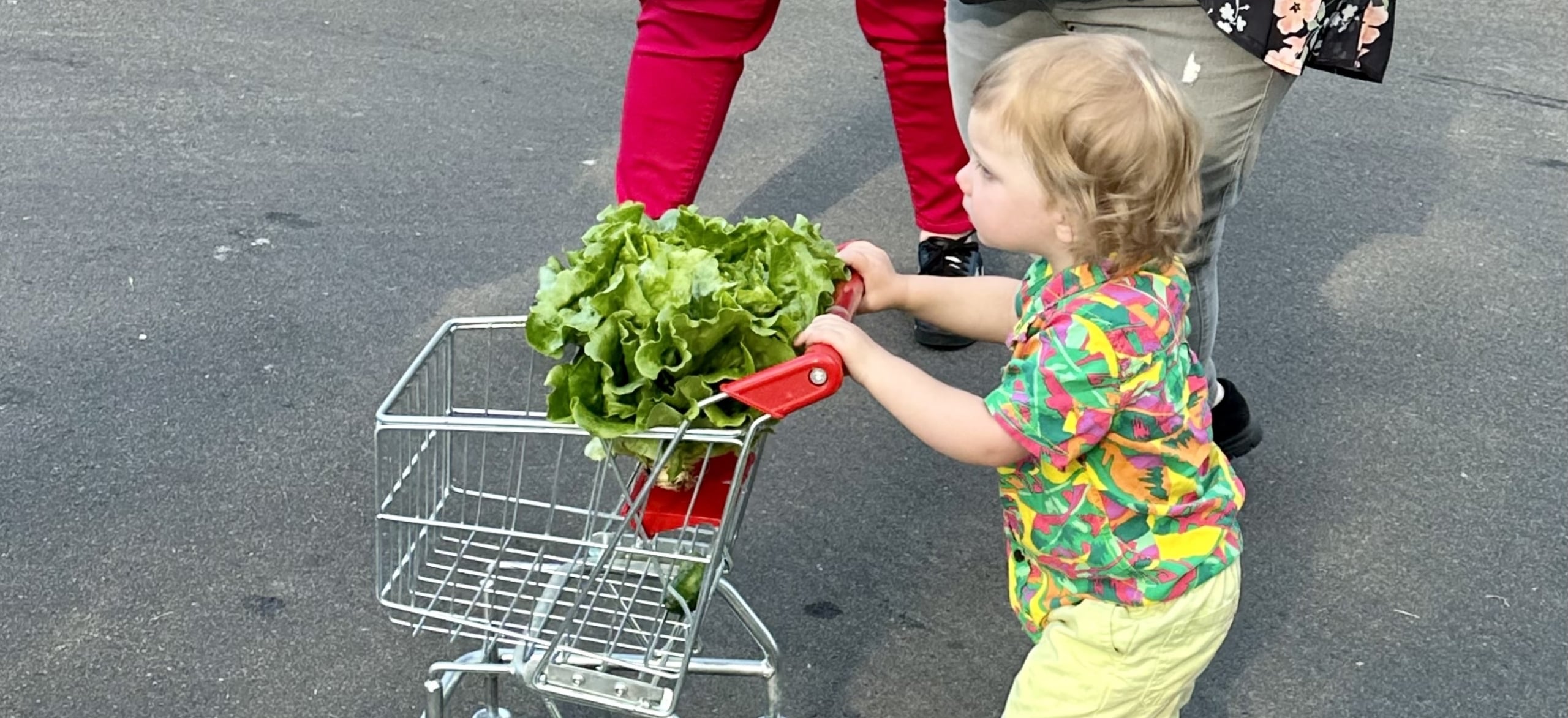 Camas-Washougal Community Chest Begins 2025 Fundraising Campaign ...